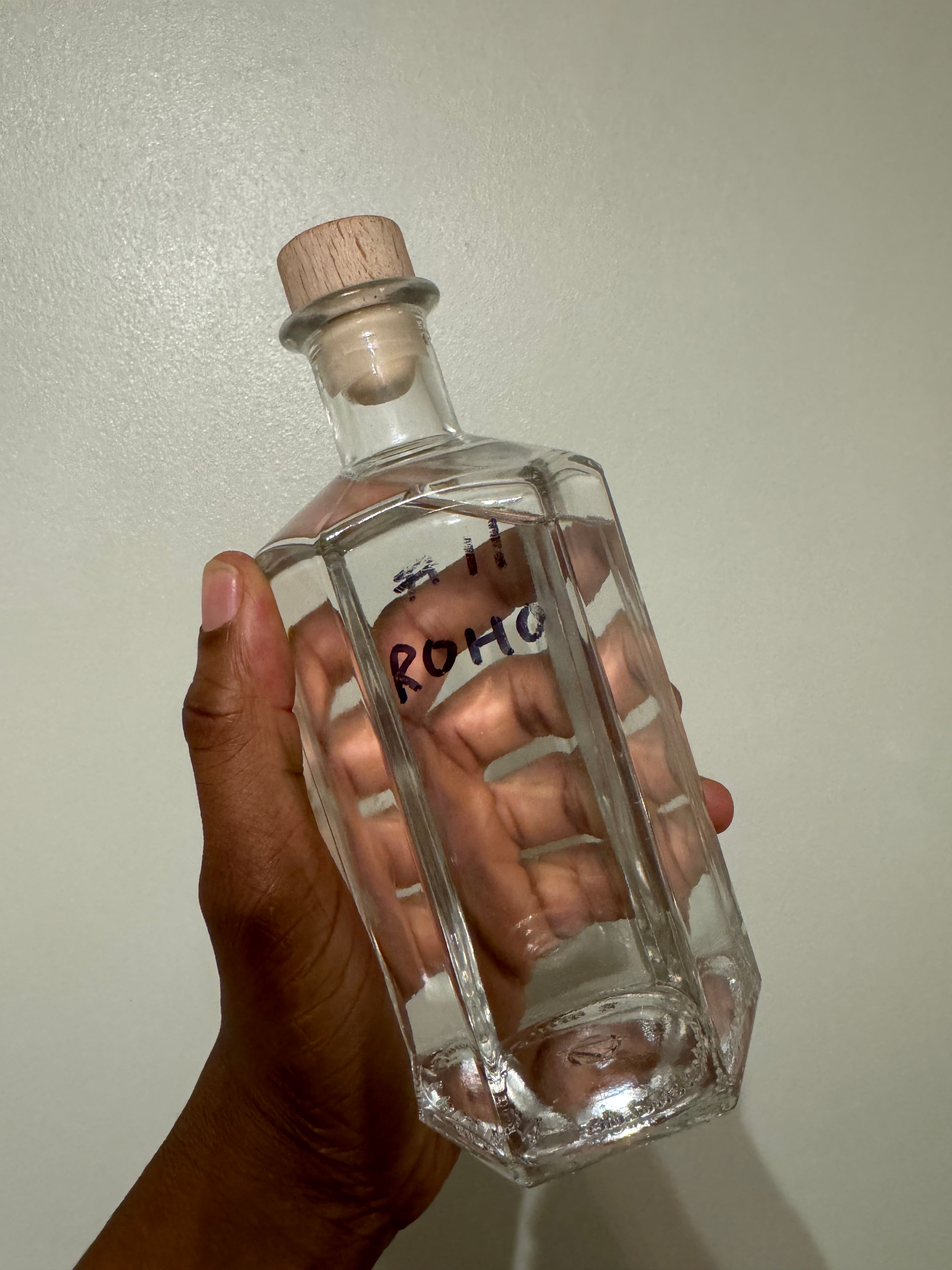 Discover the Spirit of Sisal: ROHO's Revolutionary Agave Plant – Value ...